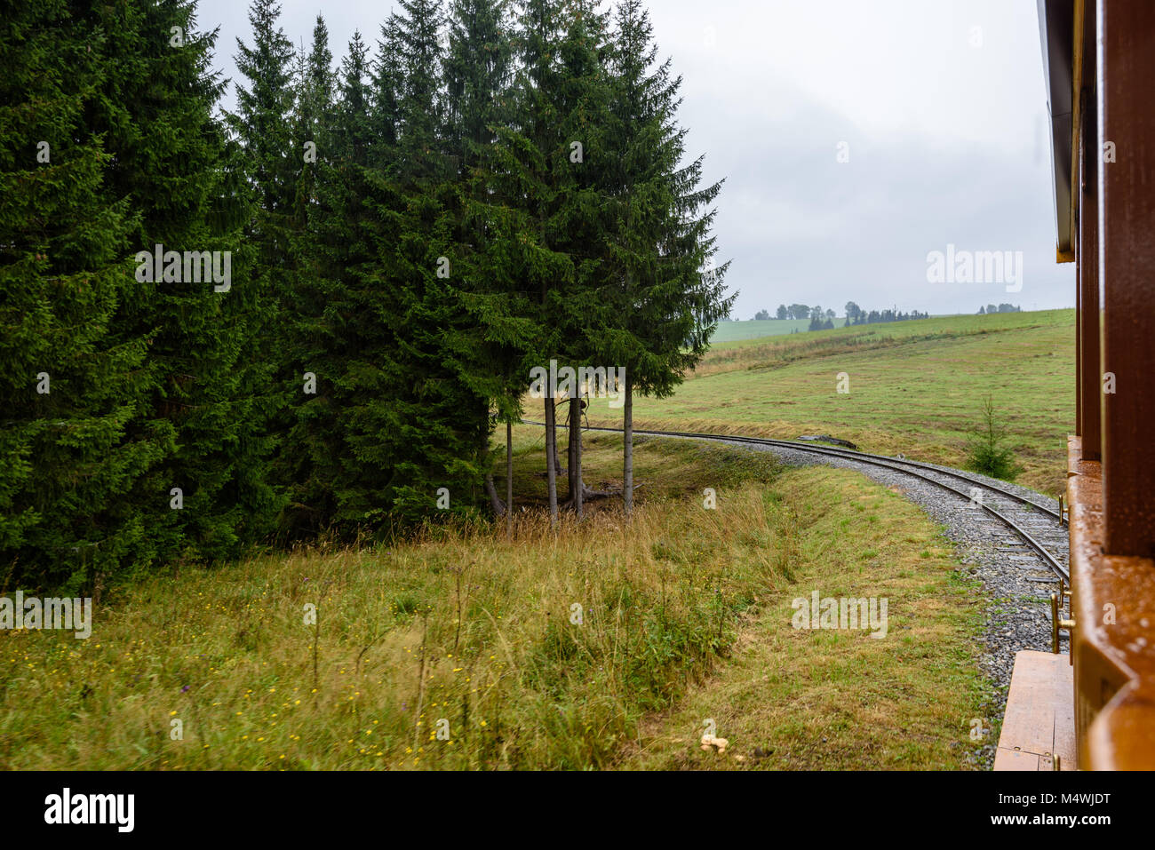 wavy railroad tracks in wet summer day in forest with vintage train ...