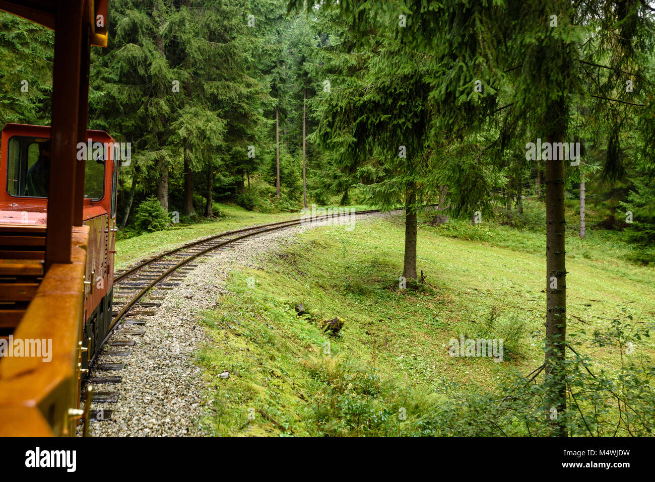 wavy railroad tracks in wet summer day in forest with vintage train ...