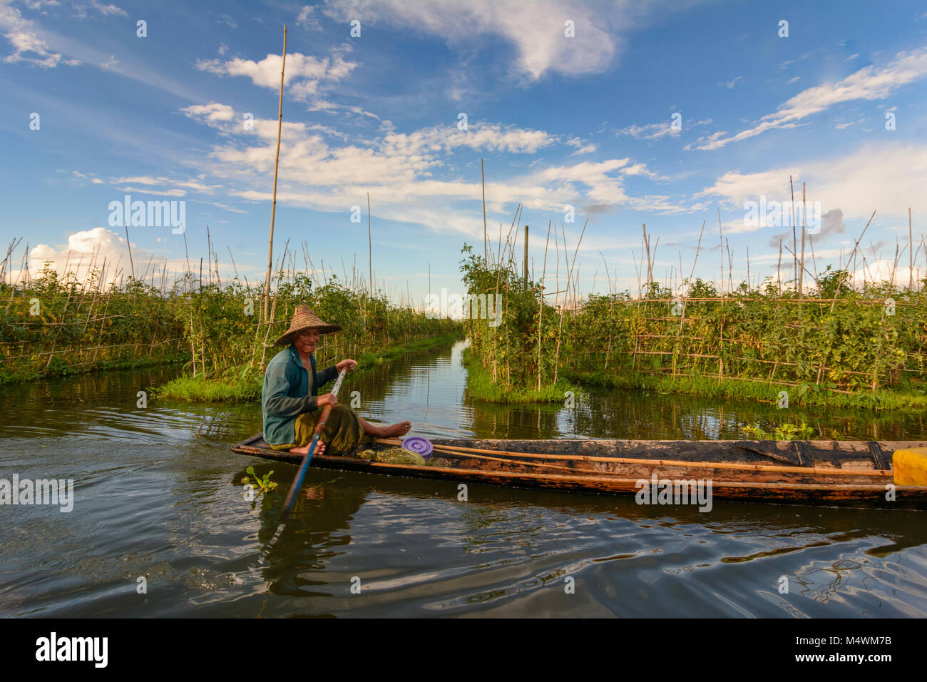 Ywama: floating garden at Inle Lake, boat, Inle Lake, Shan State ...