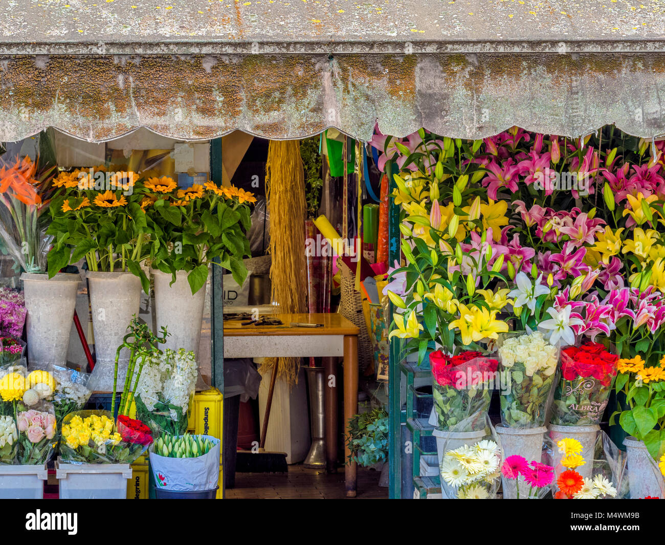 Flower Market in Rome, Italy Stock Photo - Alamy