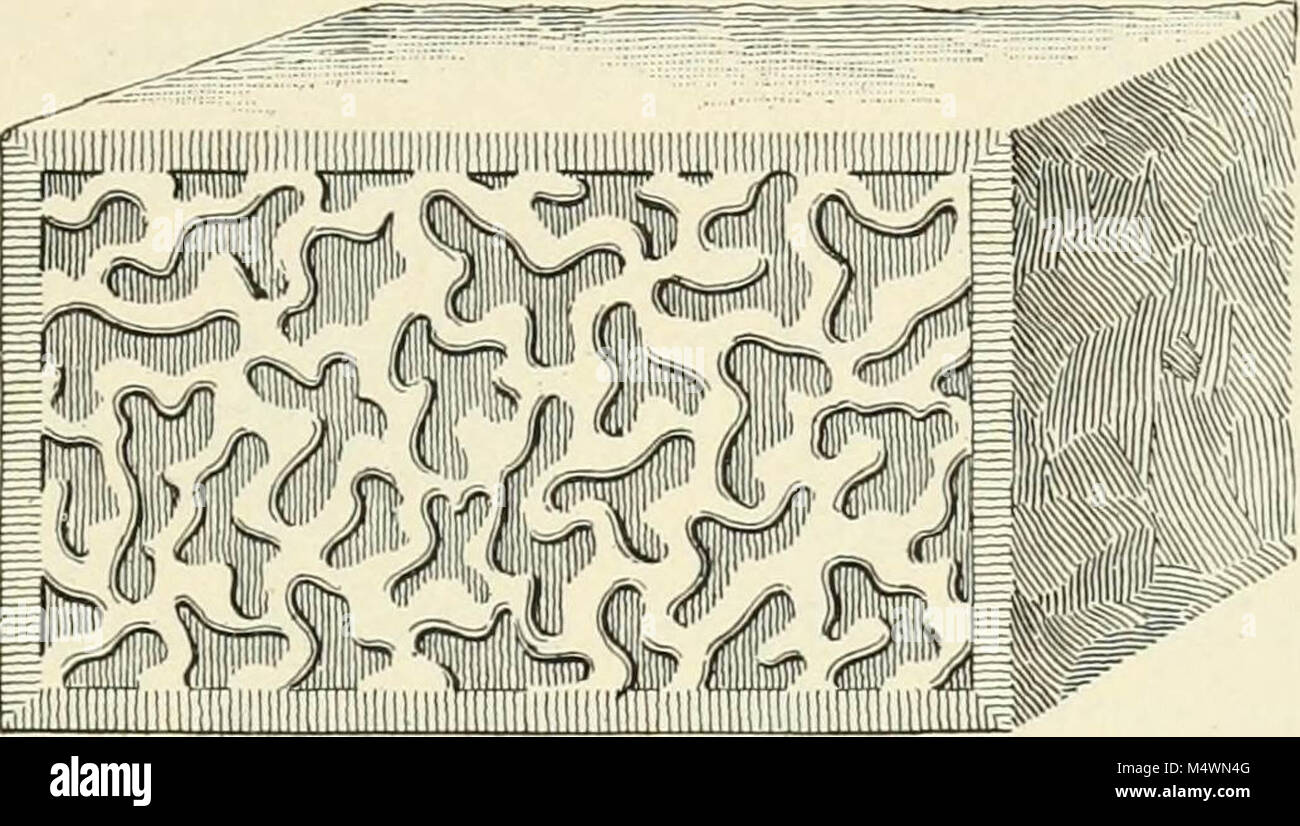 "A treatise on architecture and building construction" (1899 Stock ...