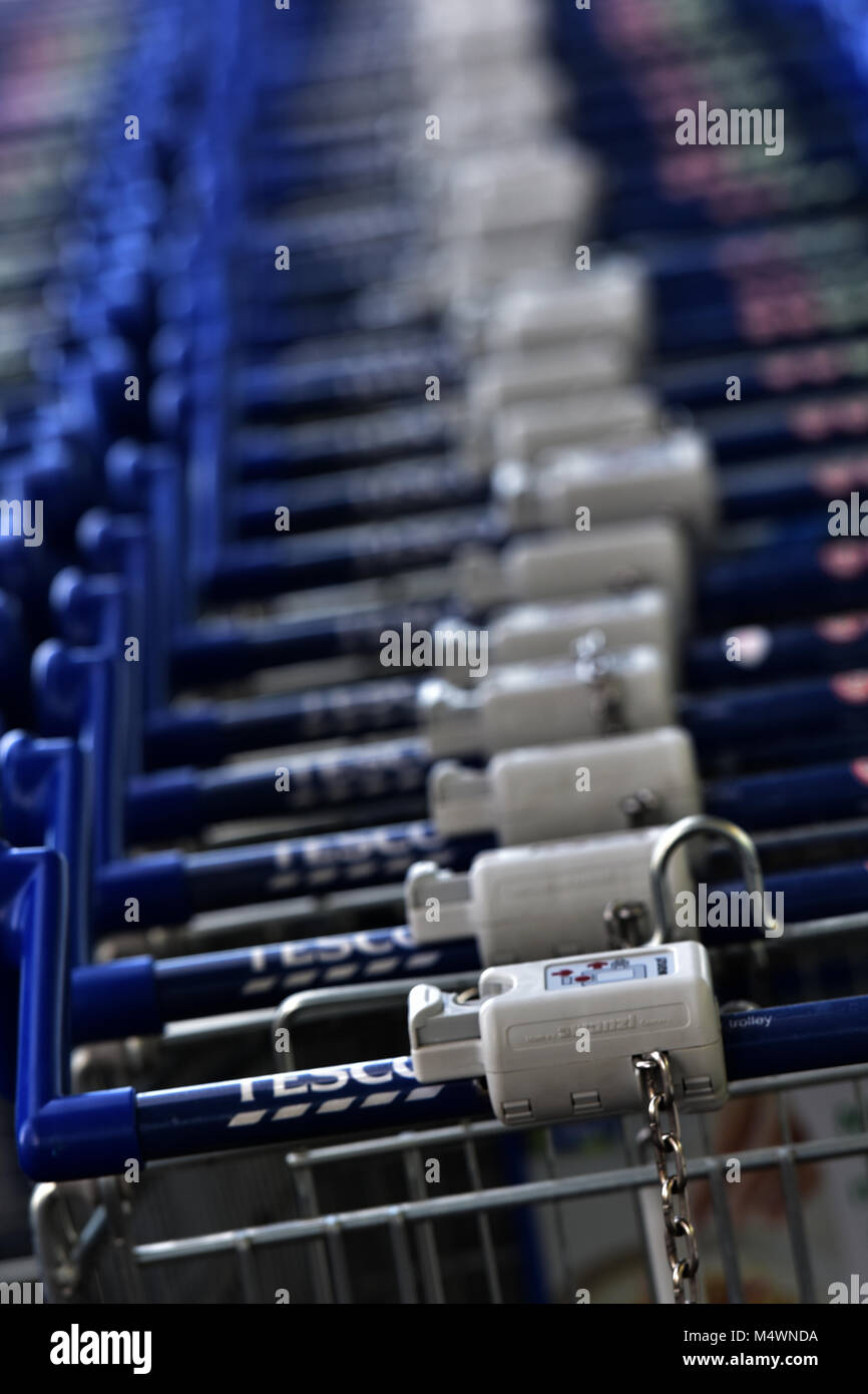 a stack or row of supermarket or hypermarket trolleys at a gian Tesco ...