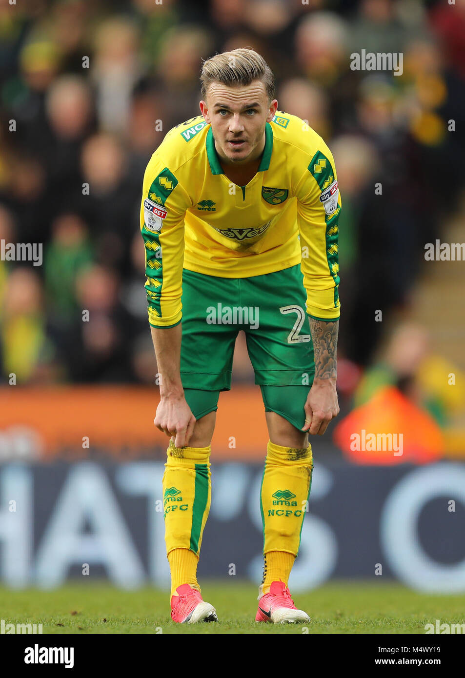 James maddison soccer hi-res stock photography and images - Alamy