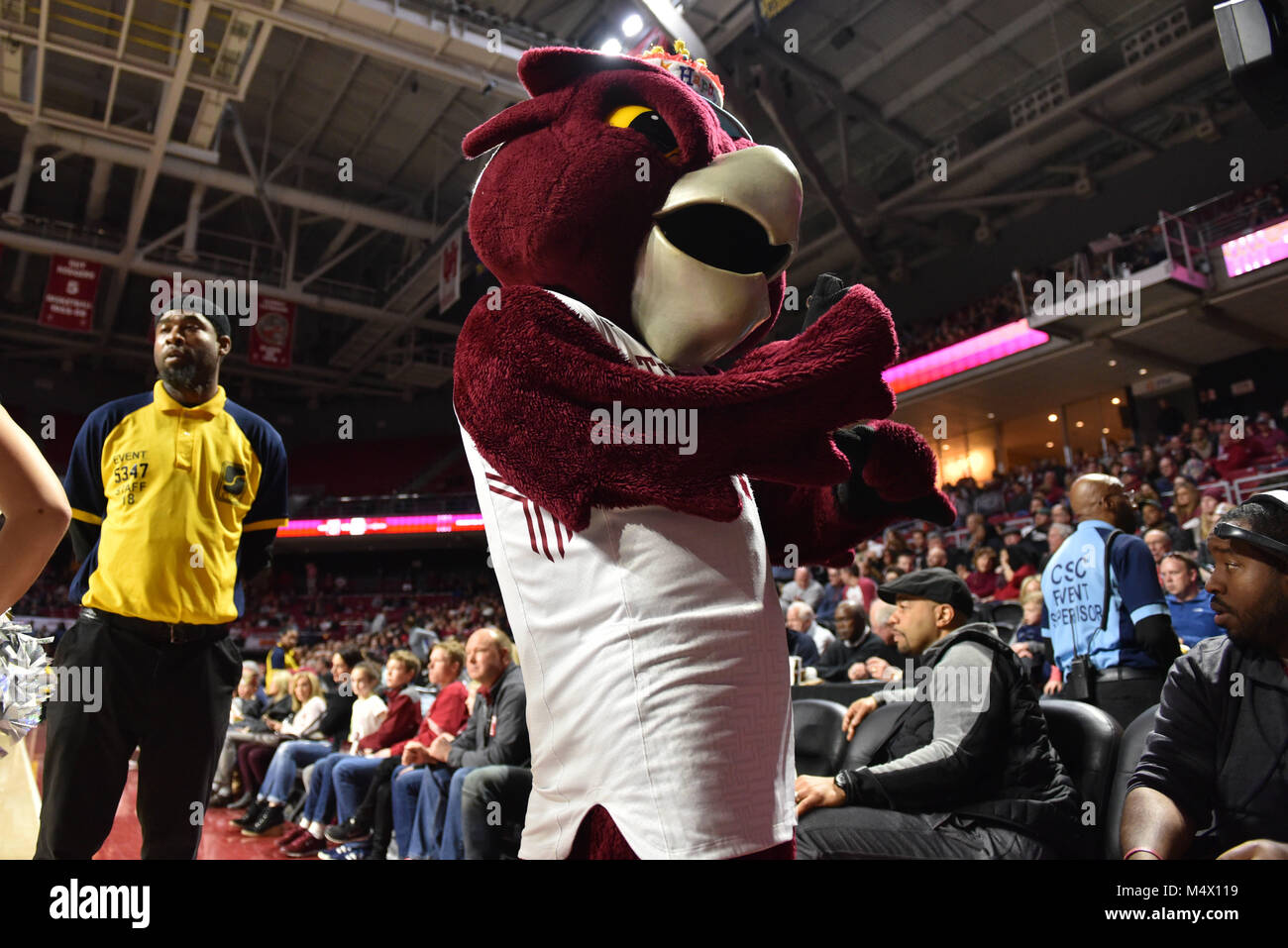 Philadelphia, Pennsylvania, USA. 18th Feb, 2018. Temple Owls mascot ...