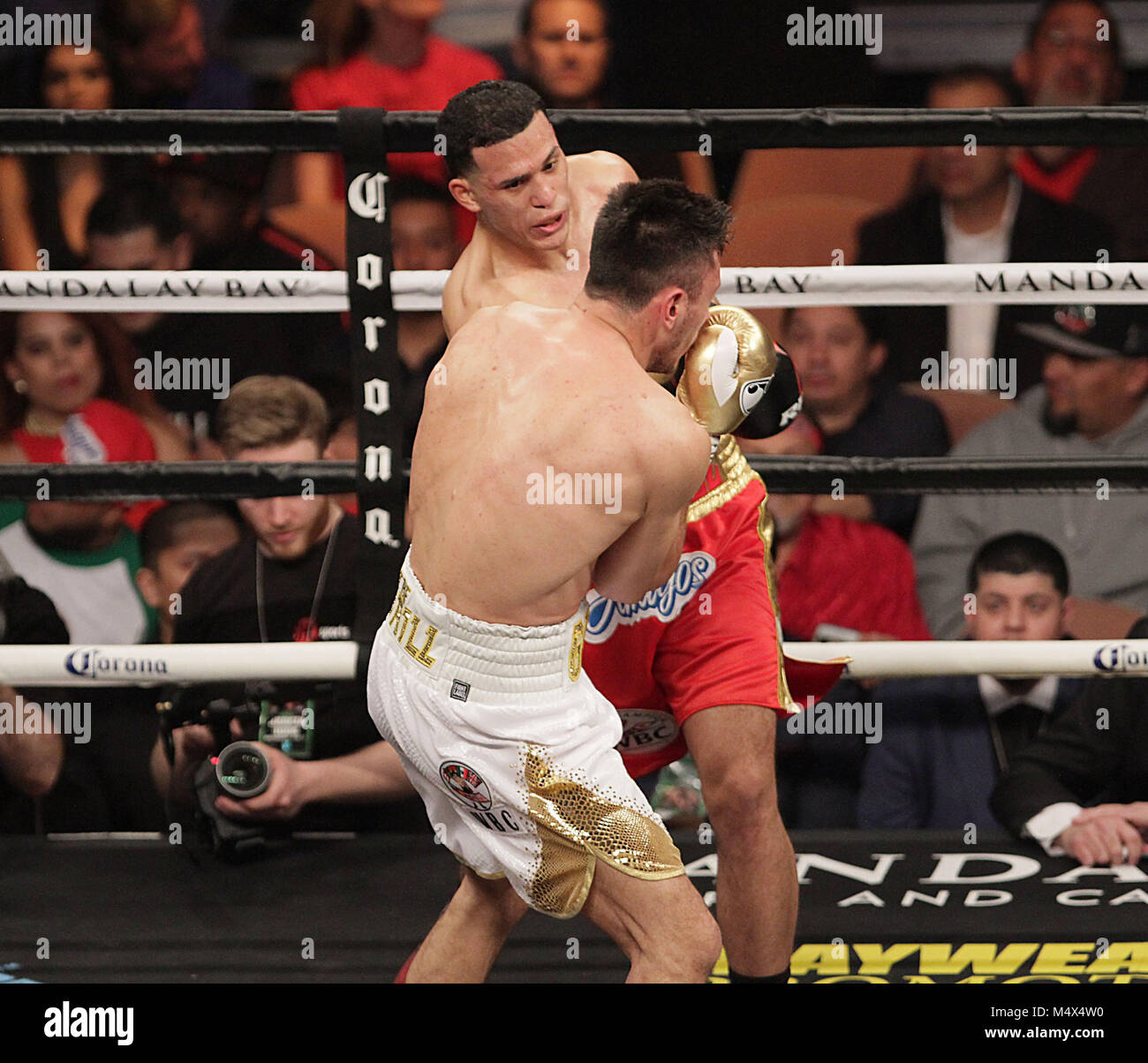 Las Vegas, Nevada, USA. 18th Feb, 2018. WBC Super Middleweight Champion ...