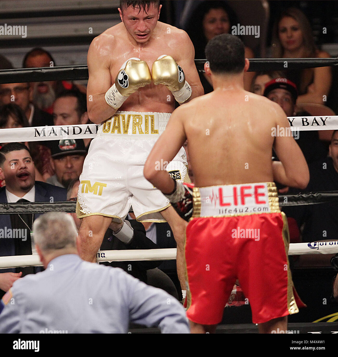 Las Vegas, Nevada, USA. 18th Feb, 2018. WBC Super Middleweight Champion ...