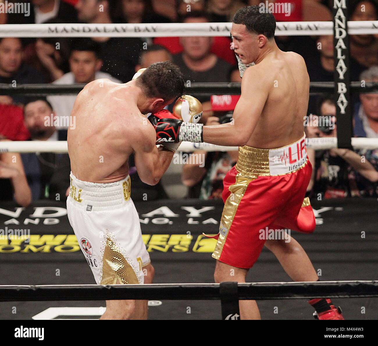 Las Vegas, Nevada, USA. 18th Feb, 2018. WBC Super Middleweight Champion ...