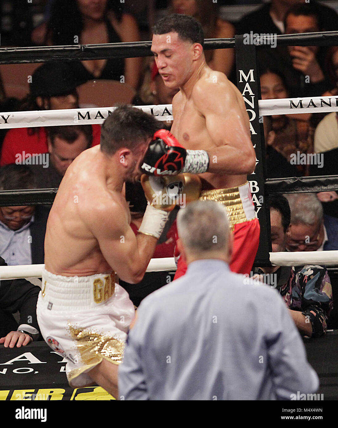 Las Vegas, Nevada, USA. 18th Feb, 2018. WBC Super Middleweight Champion ...