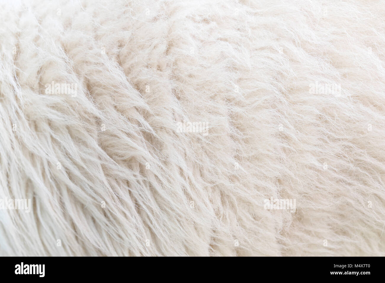 Close up wool texture and pattern background Stock Photo - Alamy