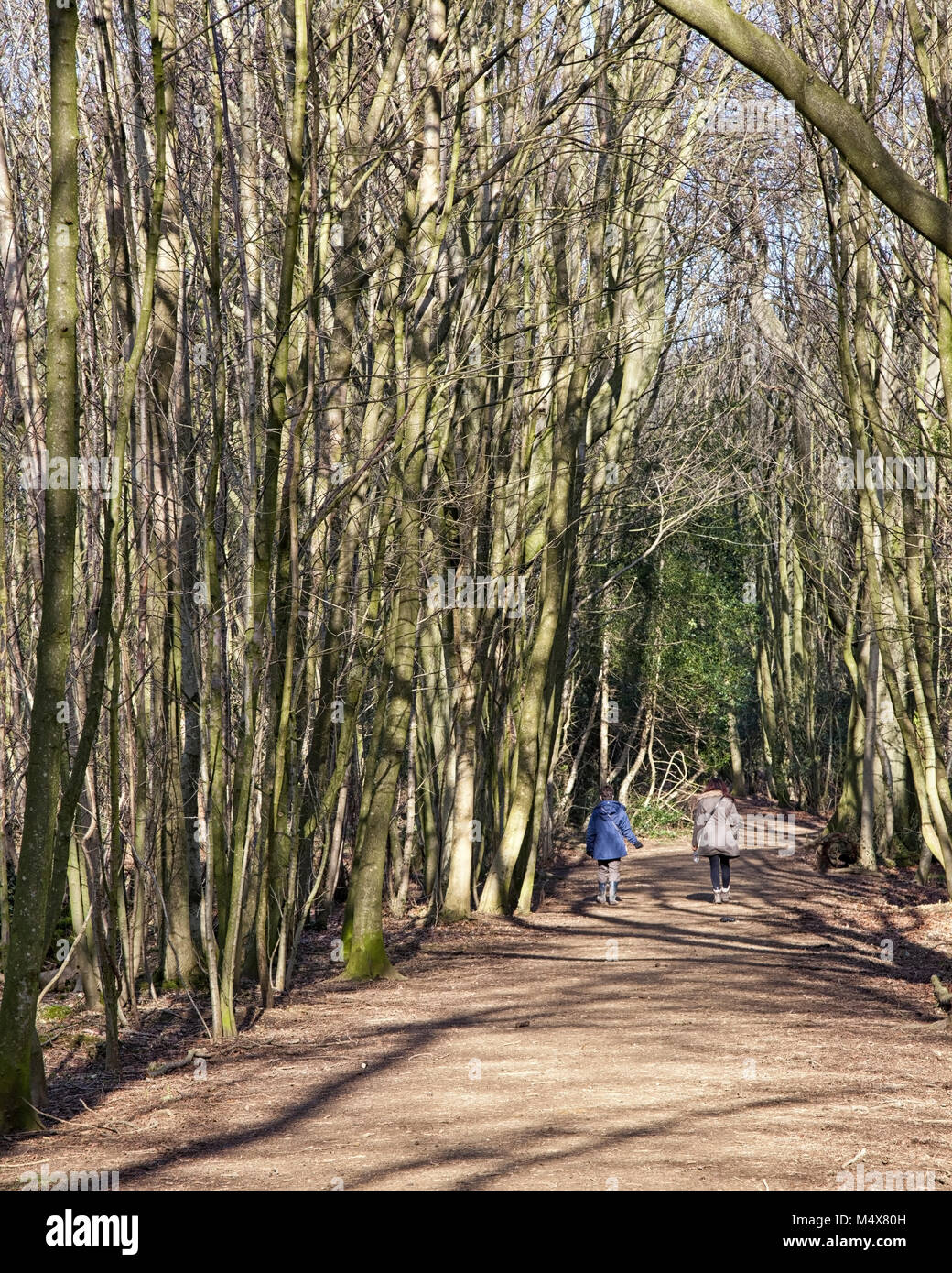 Ditchling road hi-res stock photography and images - Alamy