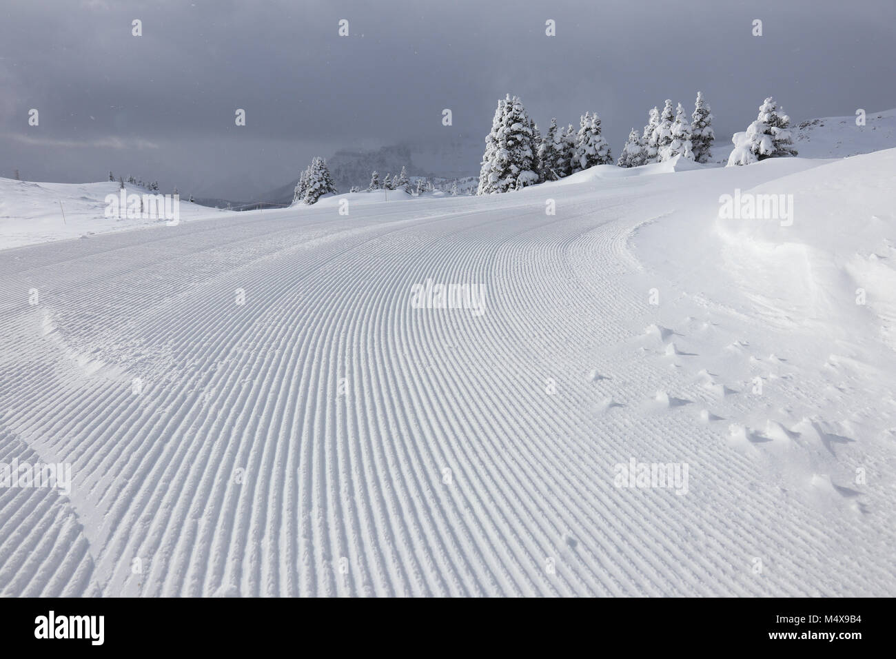 Winter landscape in Canada, snow traces Stock Photo - Alamy