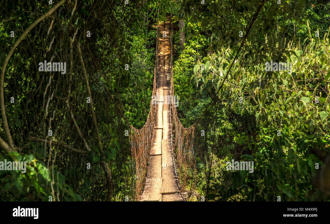 wood bridge national park brazil Stock Photo - Alamy