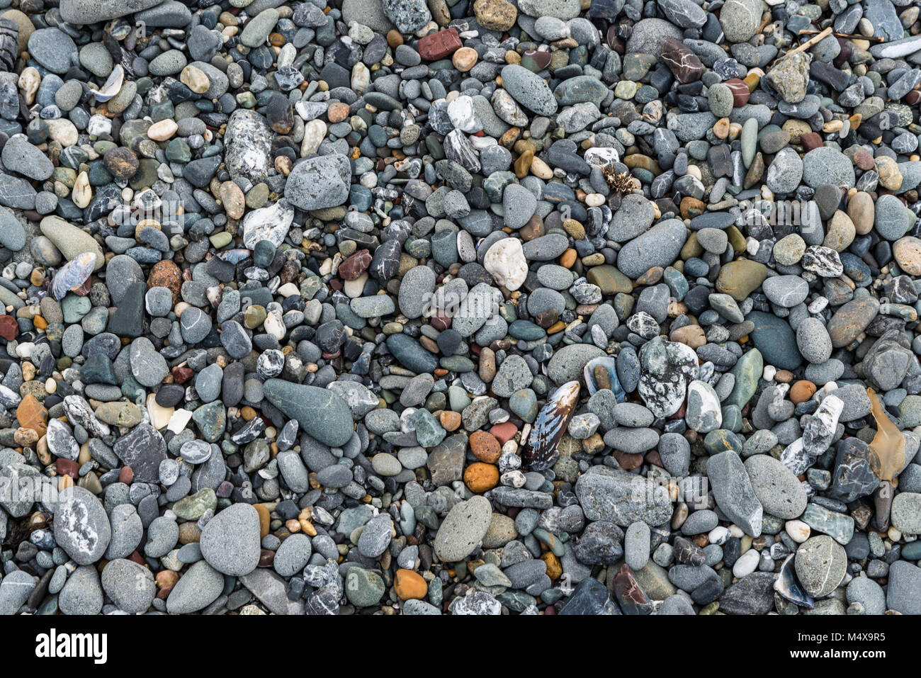 Pebbles on a beach near Crescent City California Stock Photo - Alamy