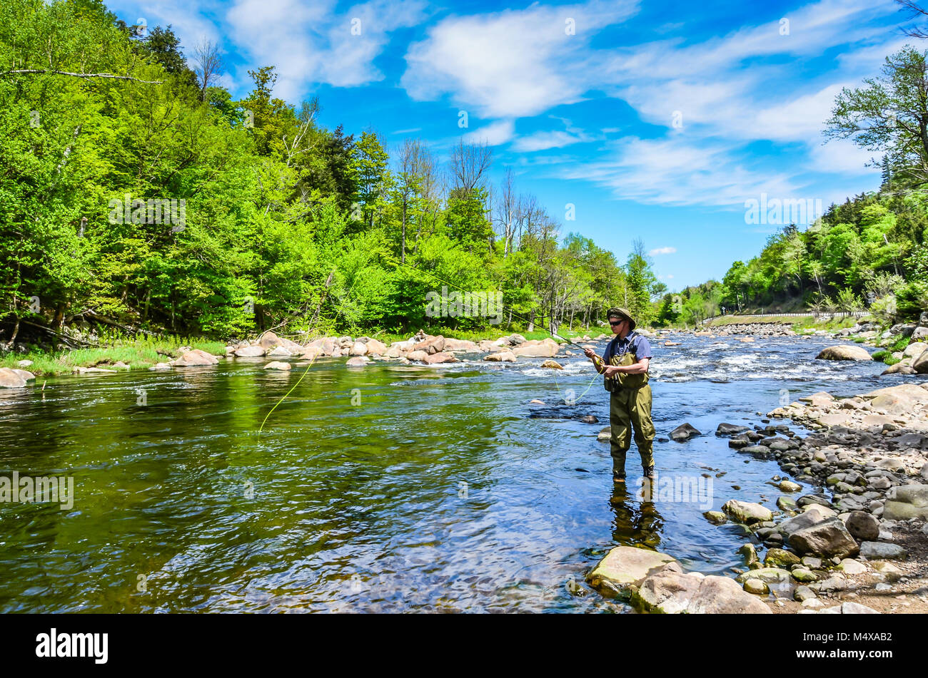 A fly fisherman stands in a trout stream in the Adirondack Mountains of ...
