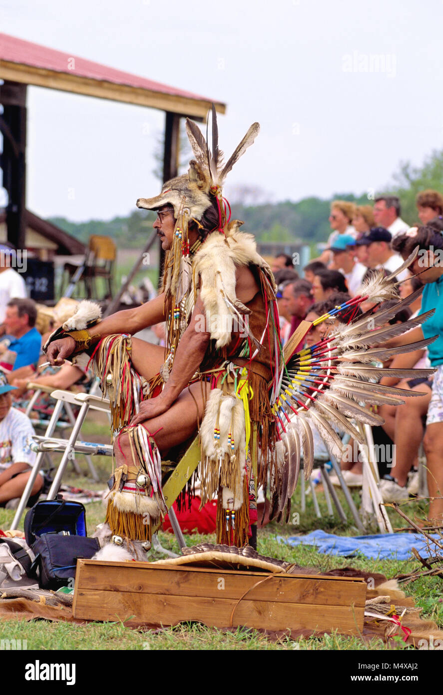 Amerindian man wearing traditional costume with wolf headdress during ...