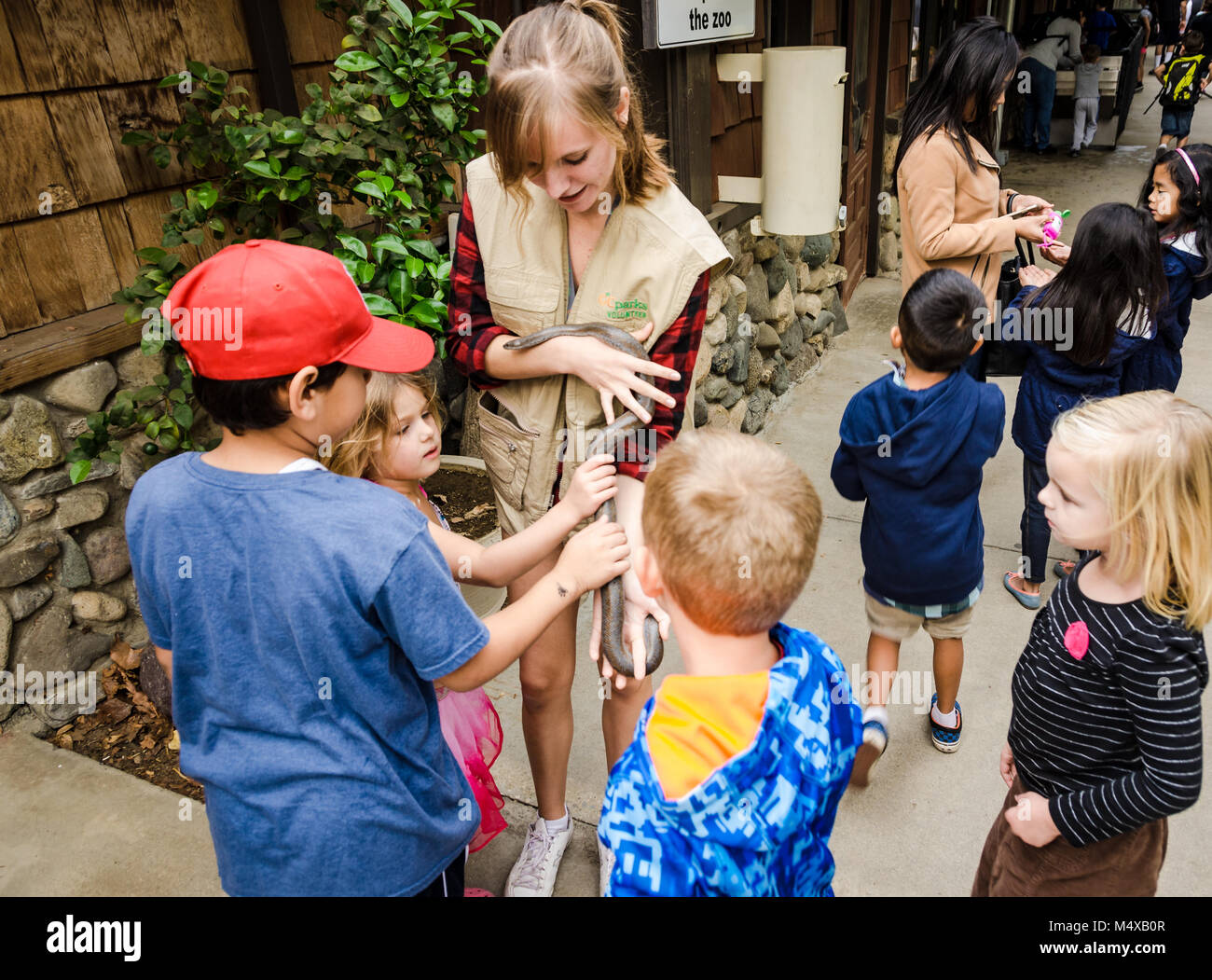 Irvine, CA, USA. Zoo educator introduces children to a snake at Orange ...