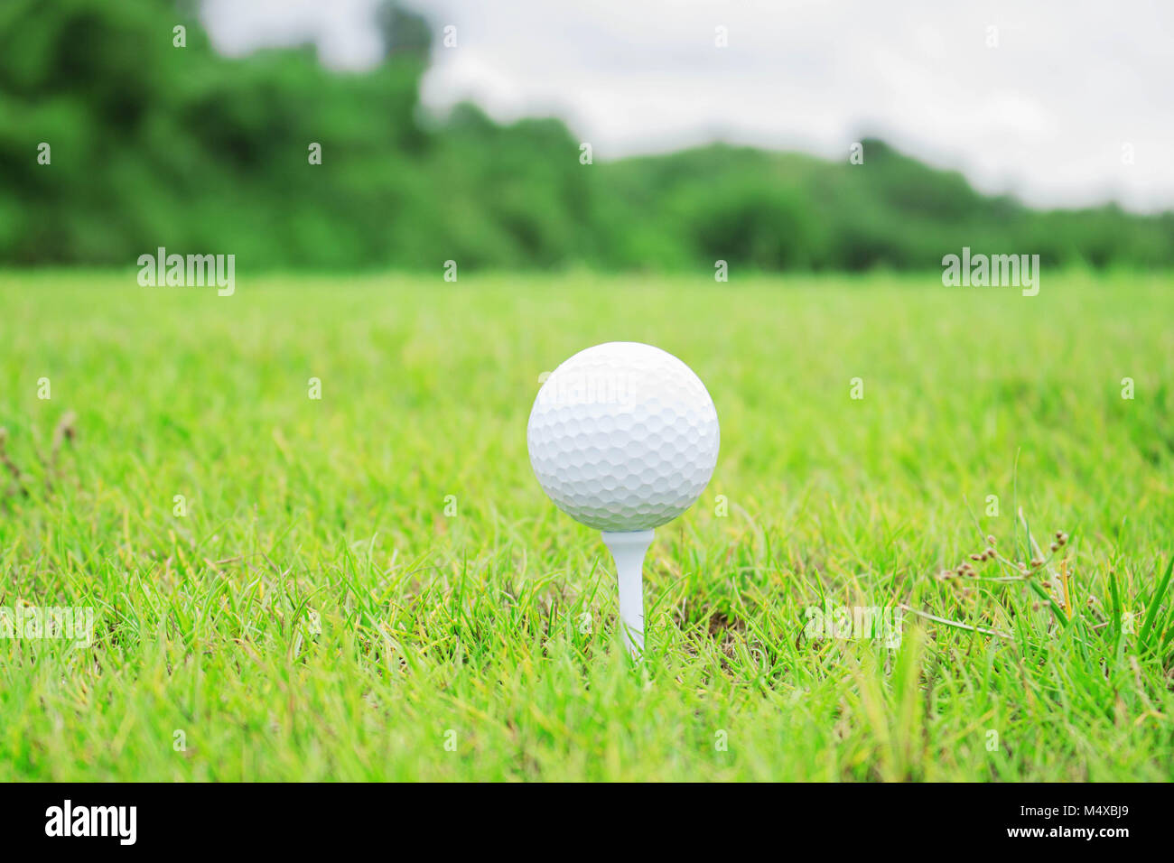 Golf ball on grass with green background Stock Photo - Alamy