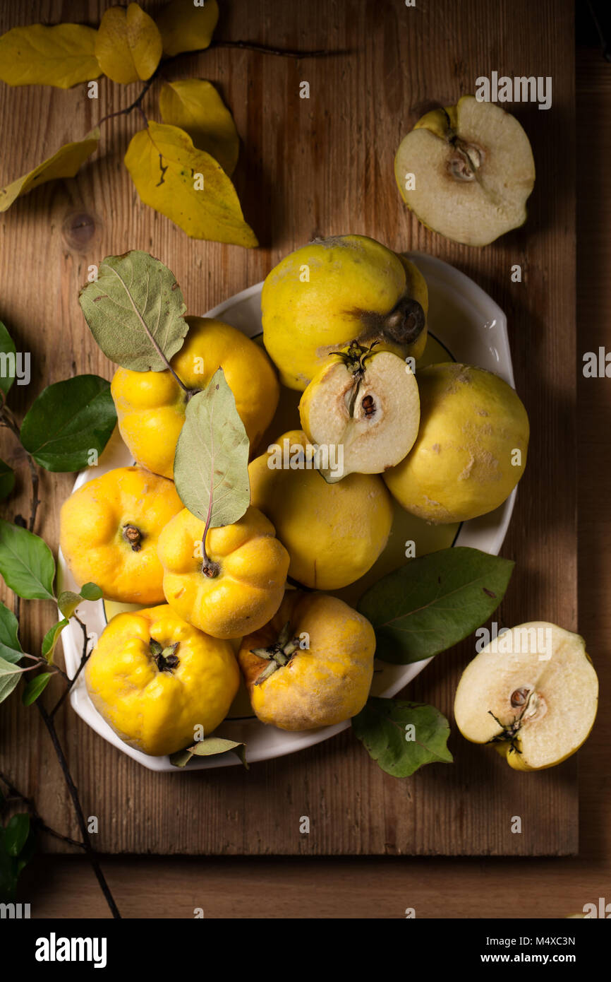 Ripe large quince Stock Photo - Alamy
