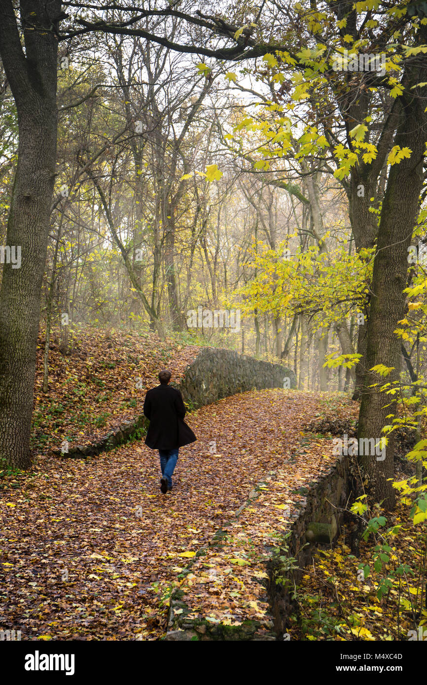 Falling leavespath hi-res stock photography and images - Alamy