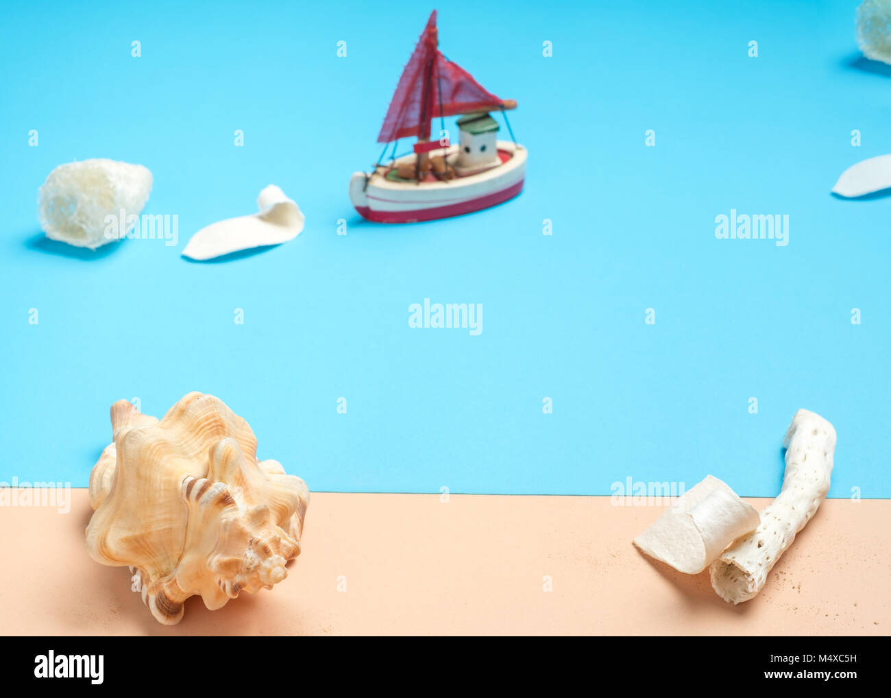 Shell Collection Display High Resolution Stock Photography and Images ...
