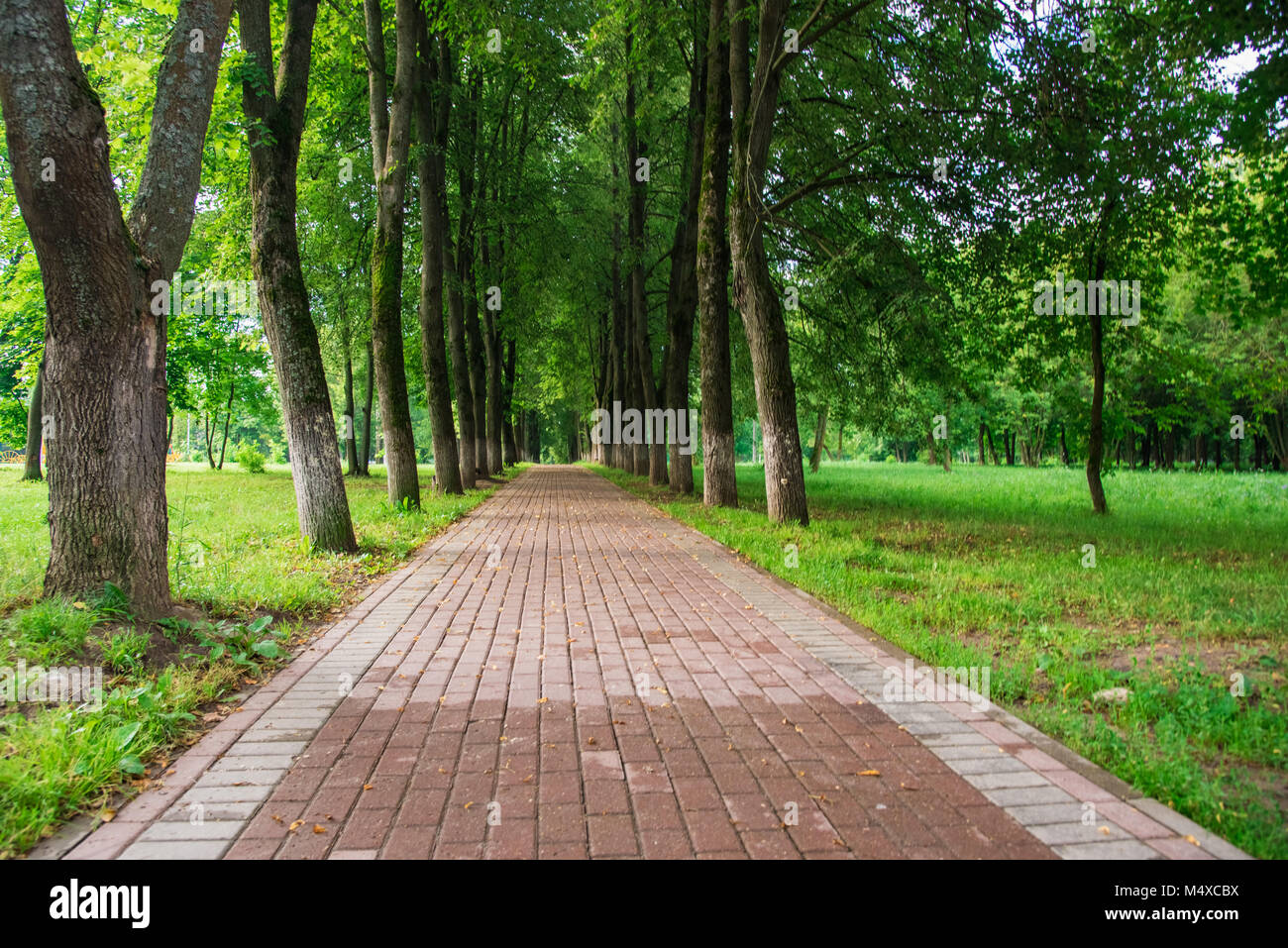 bridge in the park Stock Photo - Alamy