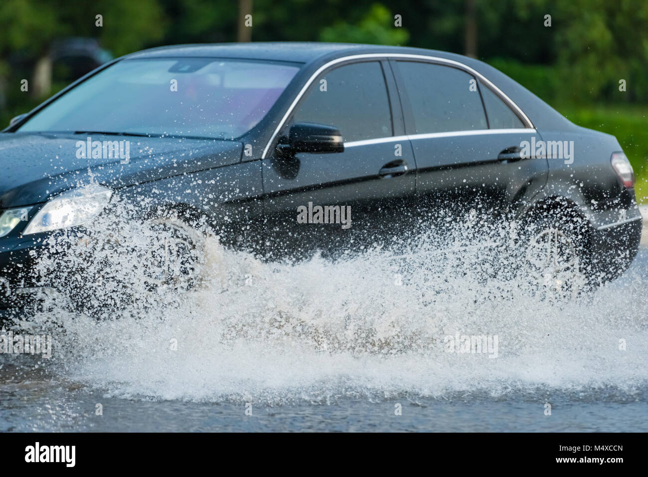 car rain puddle splashing water Stock Photo - Alamy