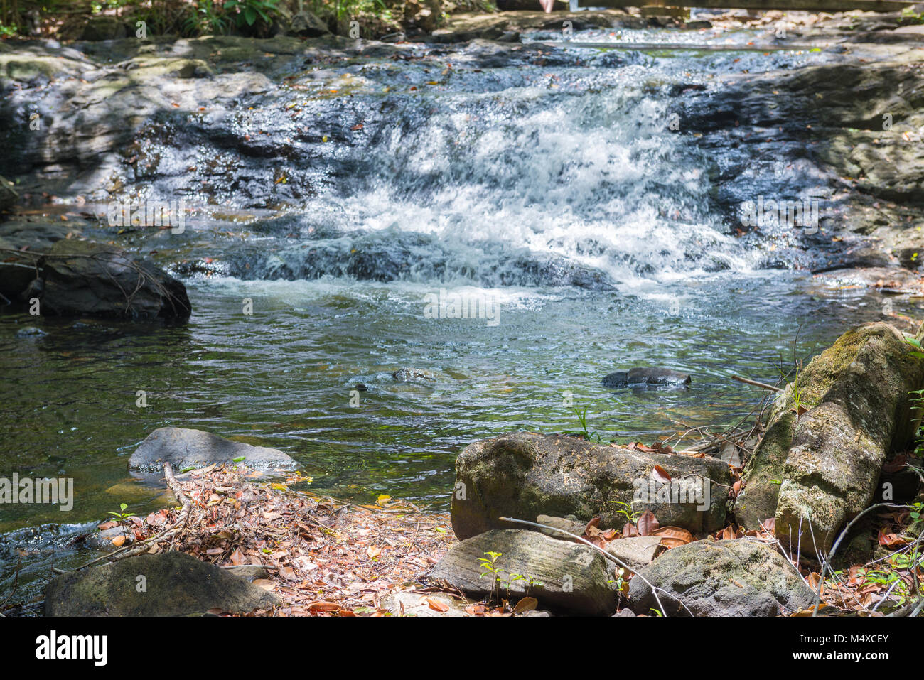 Water forms hi-res stock photography and images - Alamy