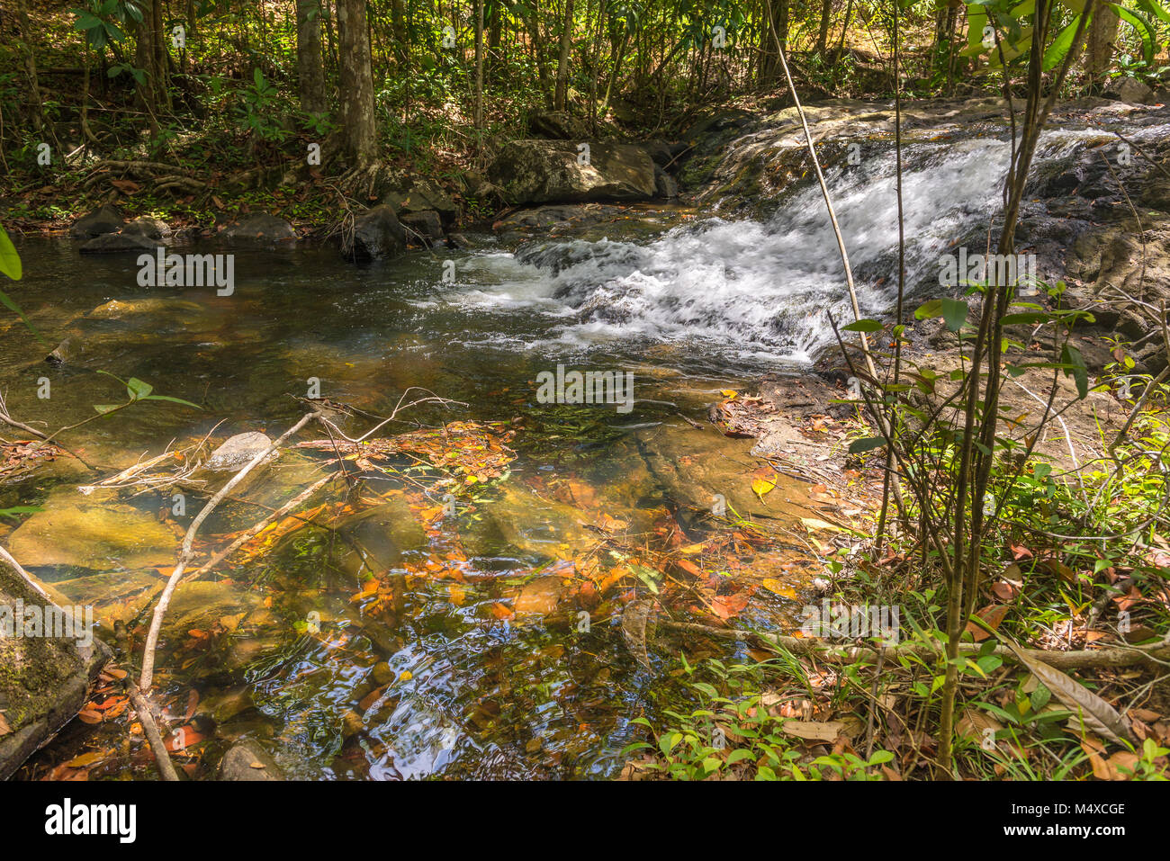 Clear Stream Stock Photos & Clear Stream Stock Images - Alamy
