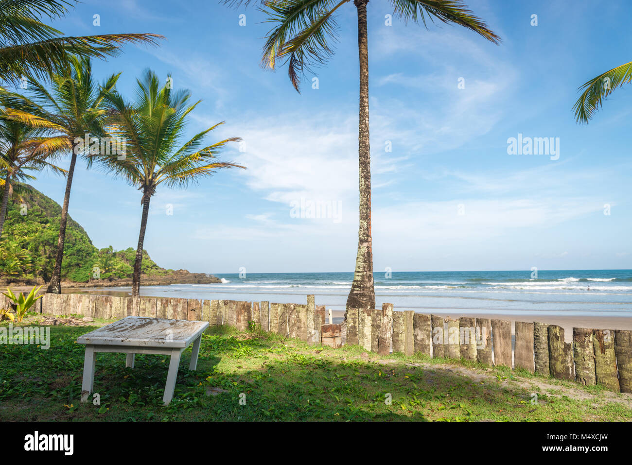 palm tree trunk wood fence in the beach Stock Photo - Alamy