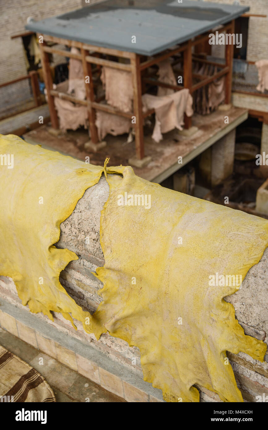 Old tannery in Fez, Morocco Stock Photo - Alamy