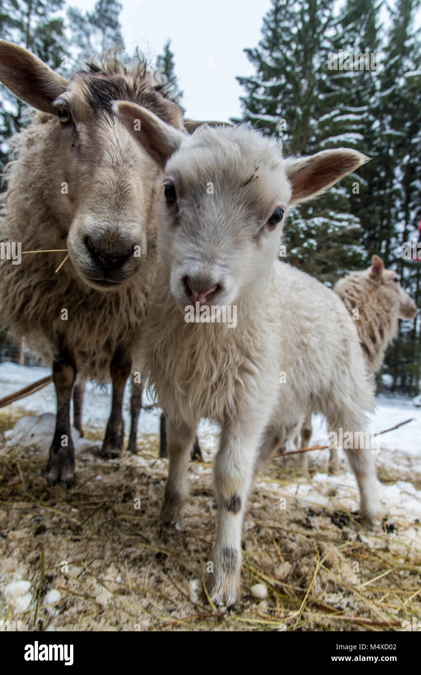 Lens marking close up hi-res stock photography and images - Alamy