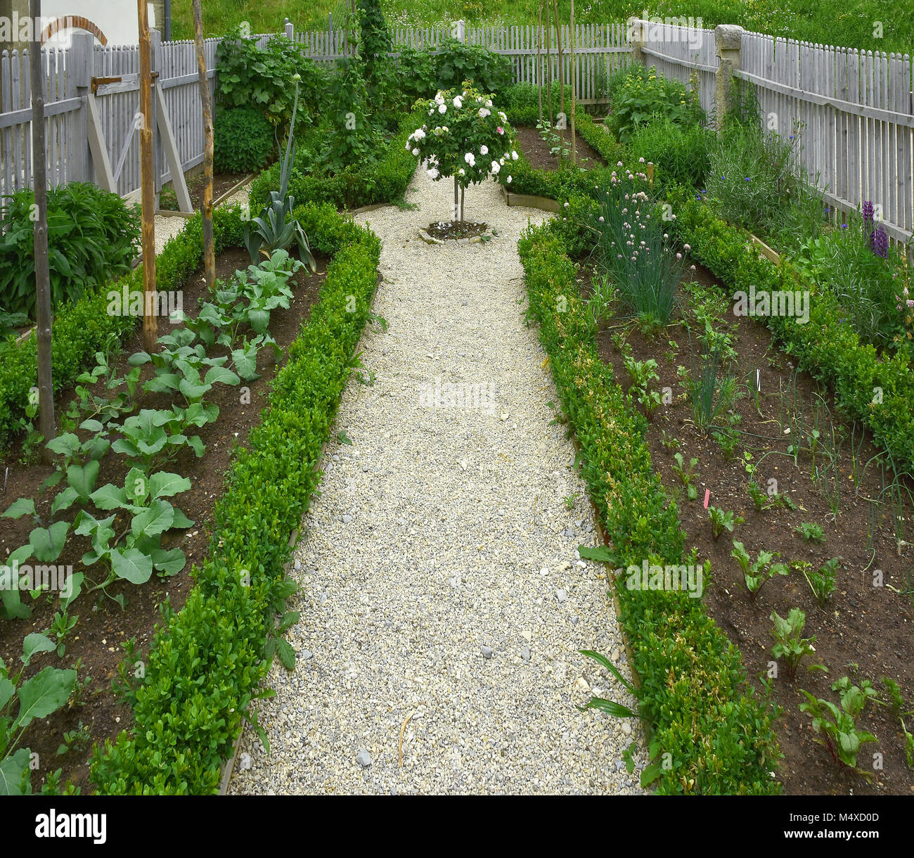 Cottage garden beds hi-res stock photography and images - Alamy