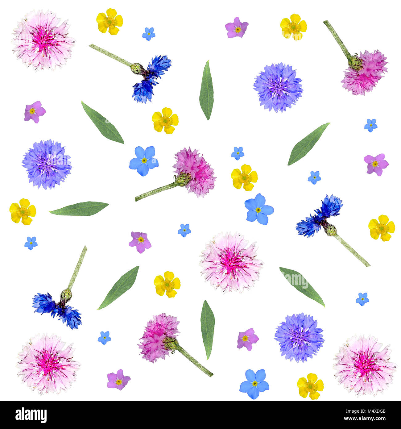 Postcard mockup on background Cut Out Stock Images & Pictures - Alamy