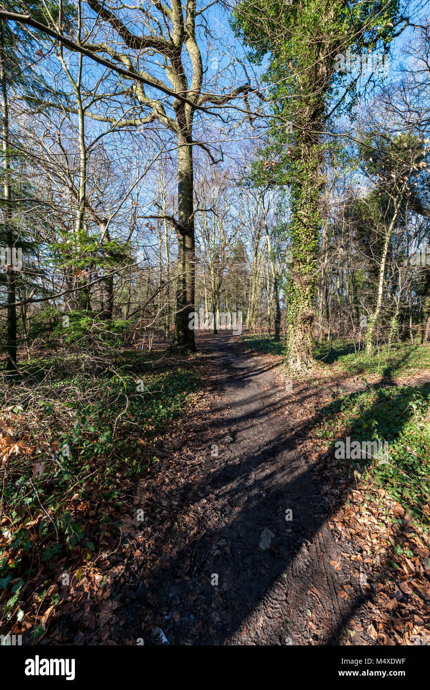 Cramlington in northumberland hi-res stock photography and images - Alamy
