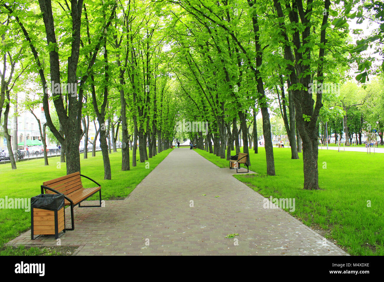 City park trees path hi-res stock photography and images - Alamy