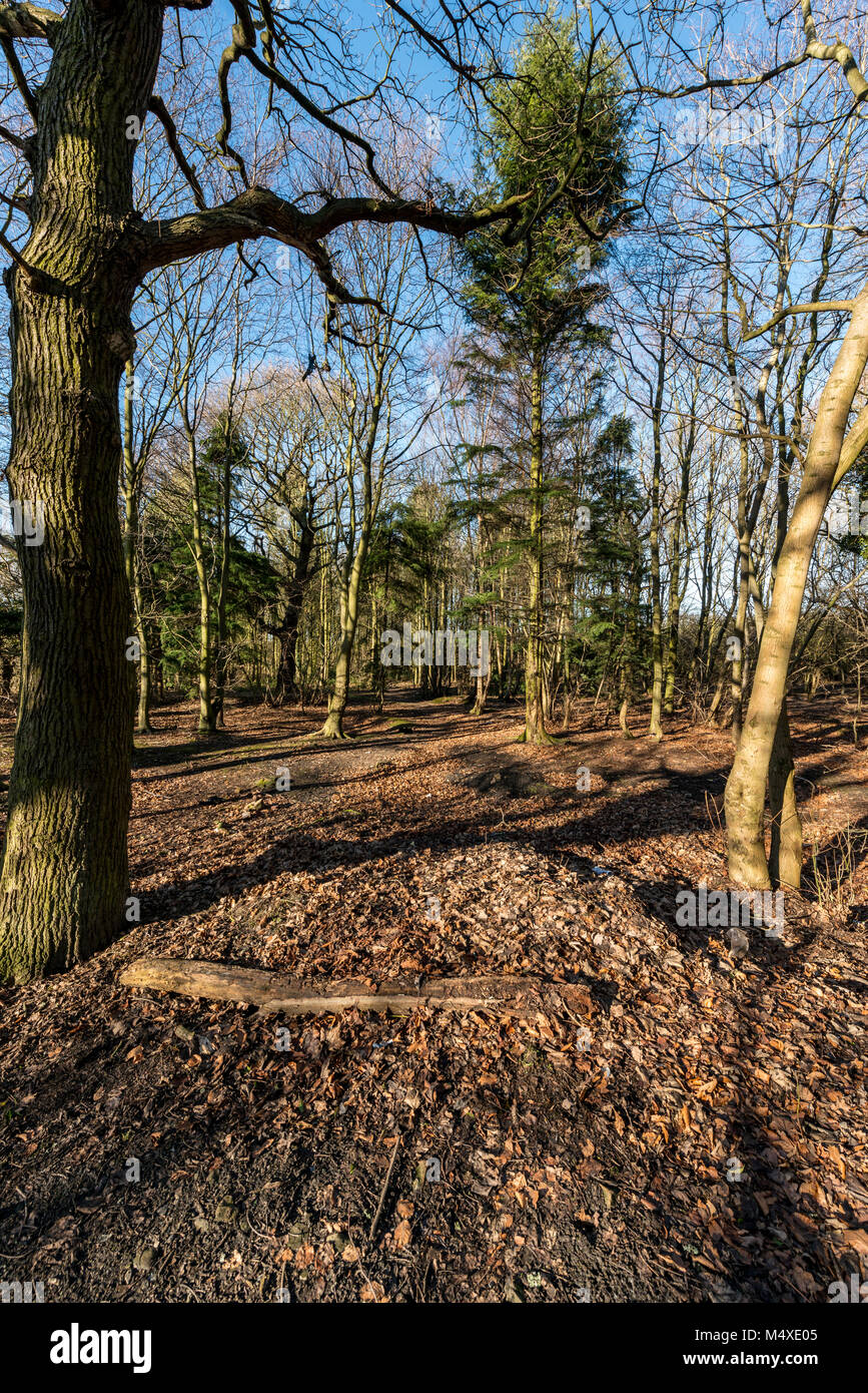 Cramlington, Northumberland High Resolution Stock Photography and ...