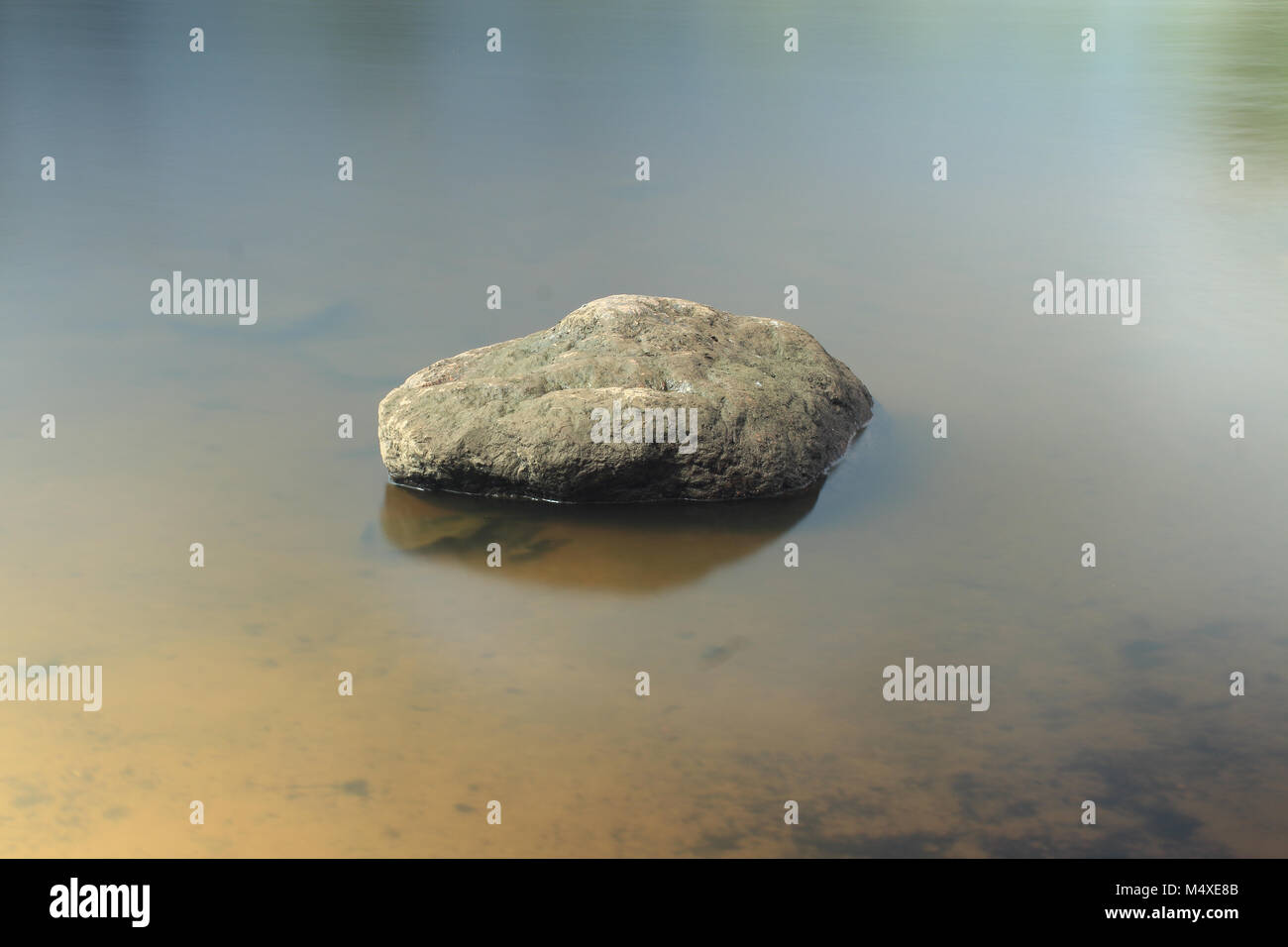 Lies in water hi-res stock photography and images - Alamy