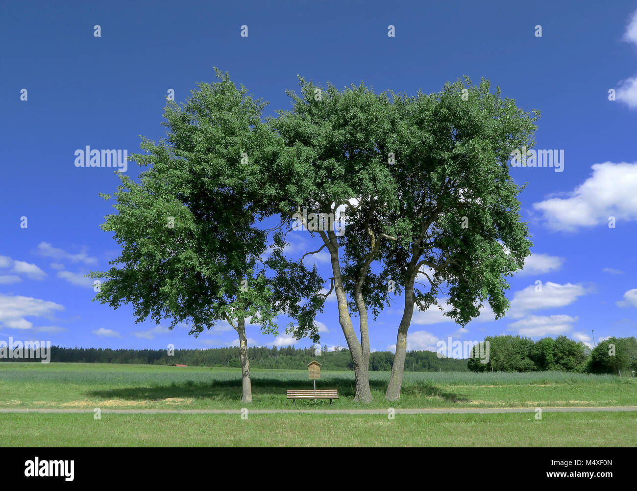 At the field cross hi-res stock photography and images - Alamy