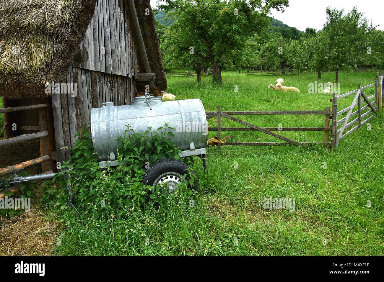 sheep pen; woodshed Stock Photo - Alamy