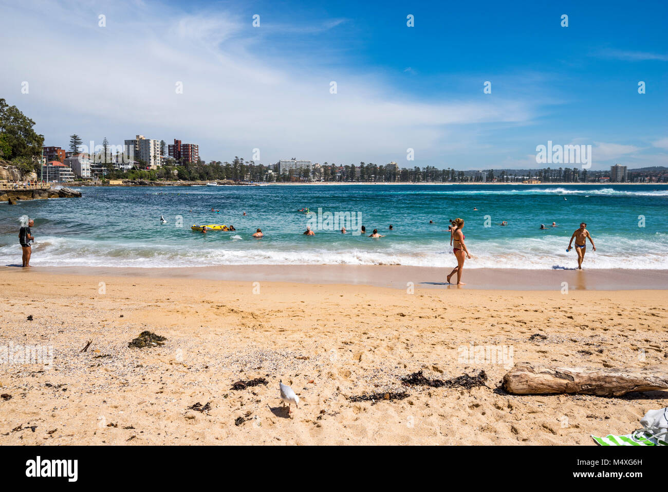 Shelly Beach, Manly Stock Photo - Alamy