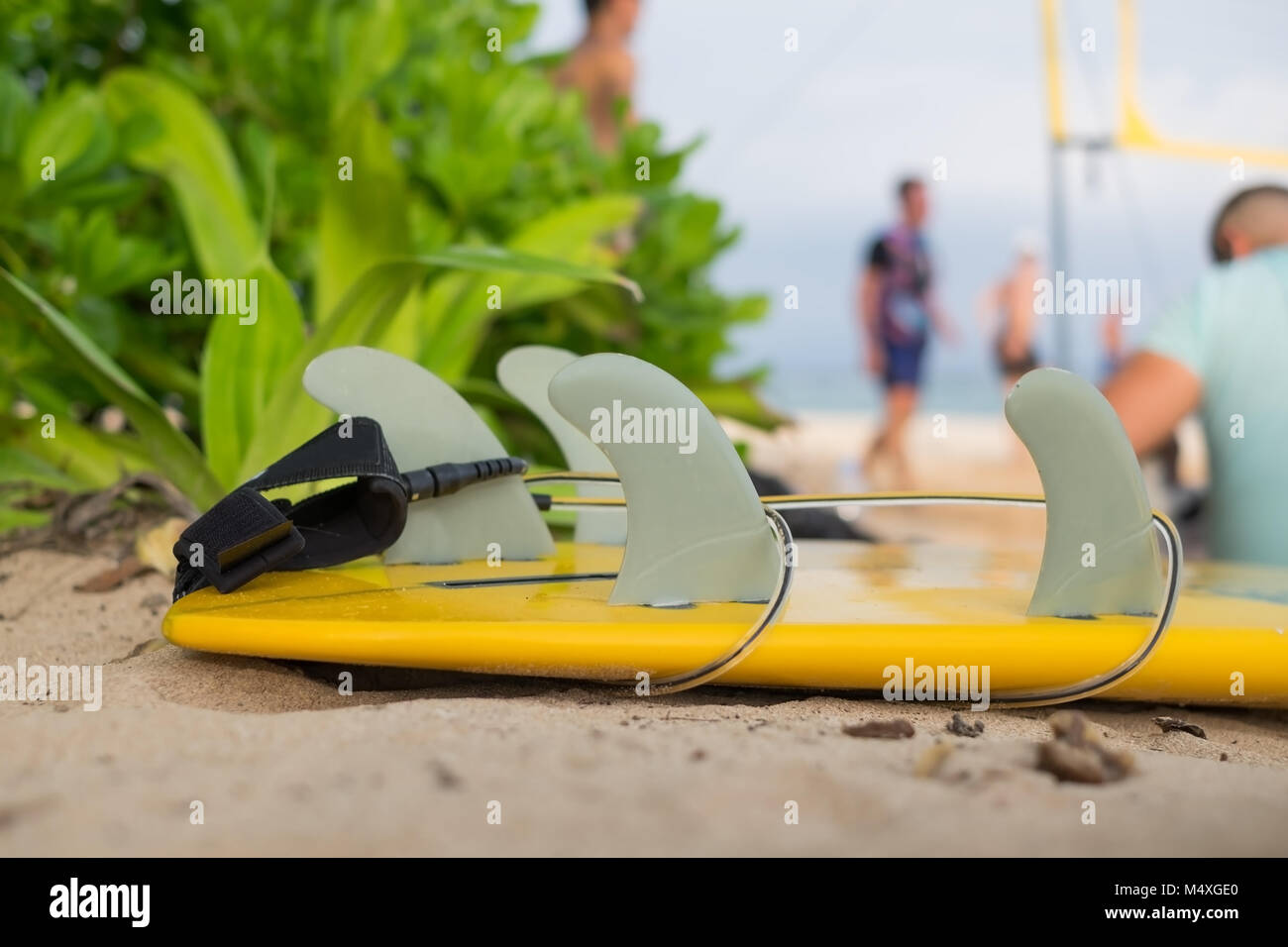 Surf board details Stock Photo - Alamy