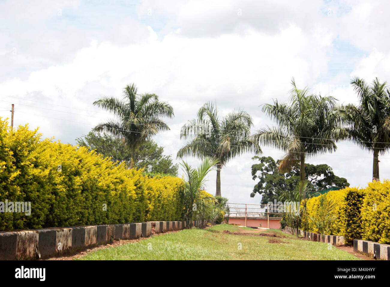 A lawn at Kavumba Recreation Centre in Kampala, Uganda Stock Photo - Alamy