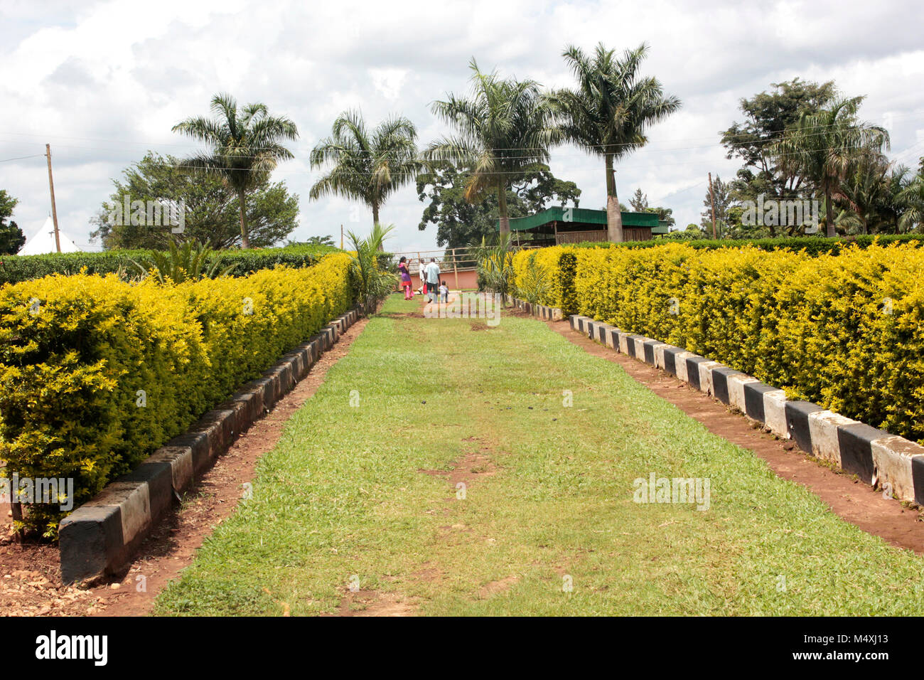 A lawn at Kavumba Recreation Centre in Kampala, Uganda Stock Photo - Alamy