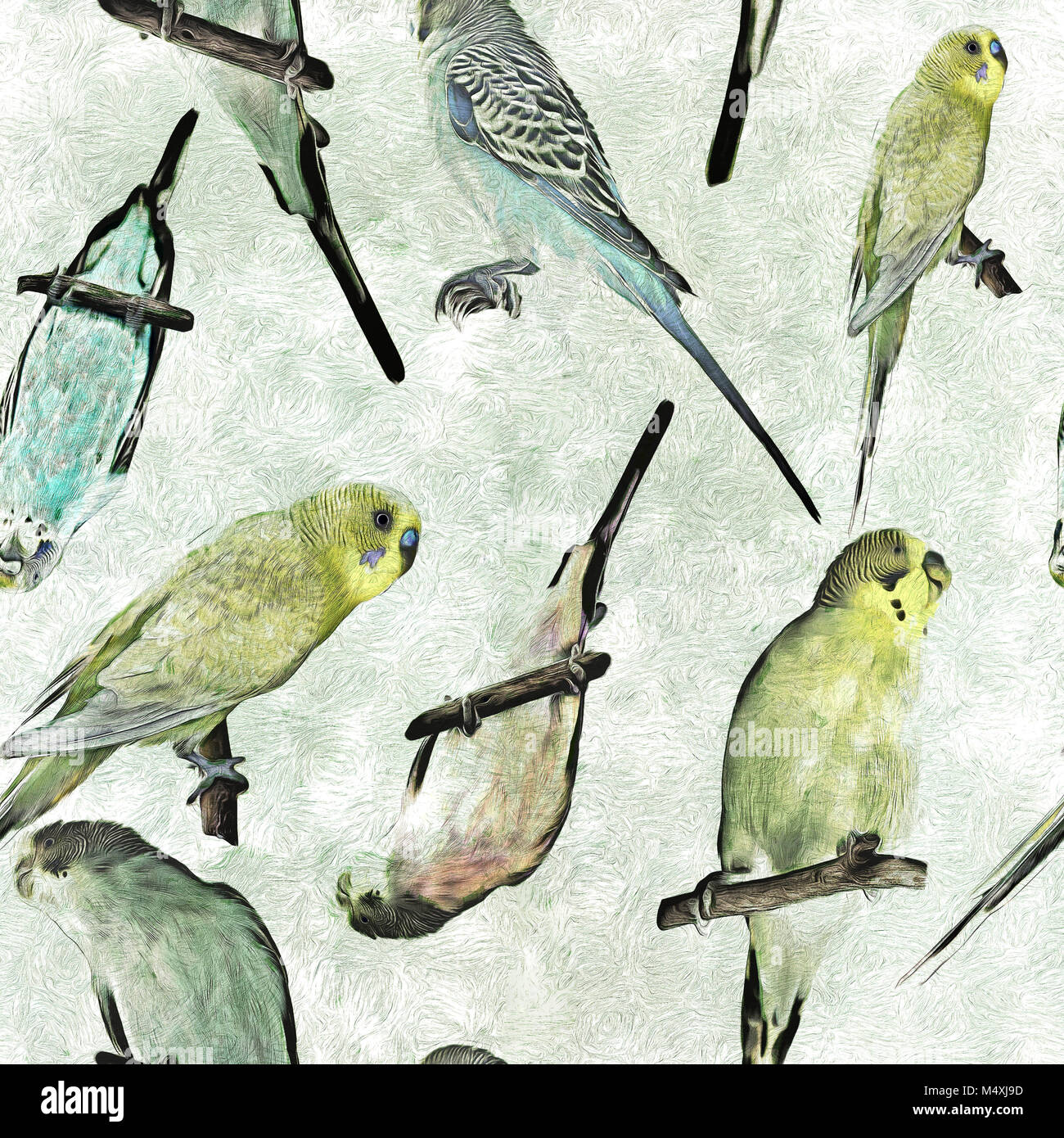 parrot budgerigar (Melopsittacus undulatus) seamless pattern Stock ...
