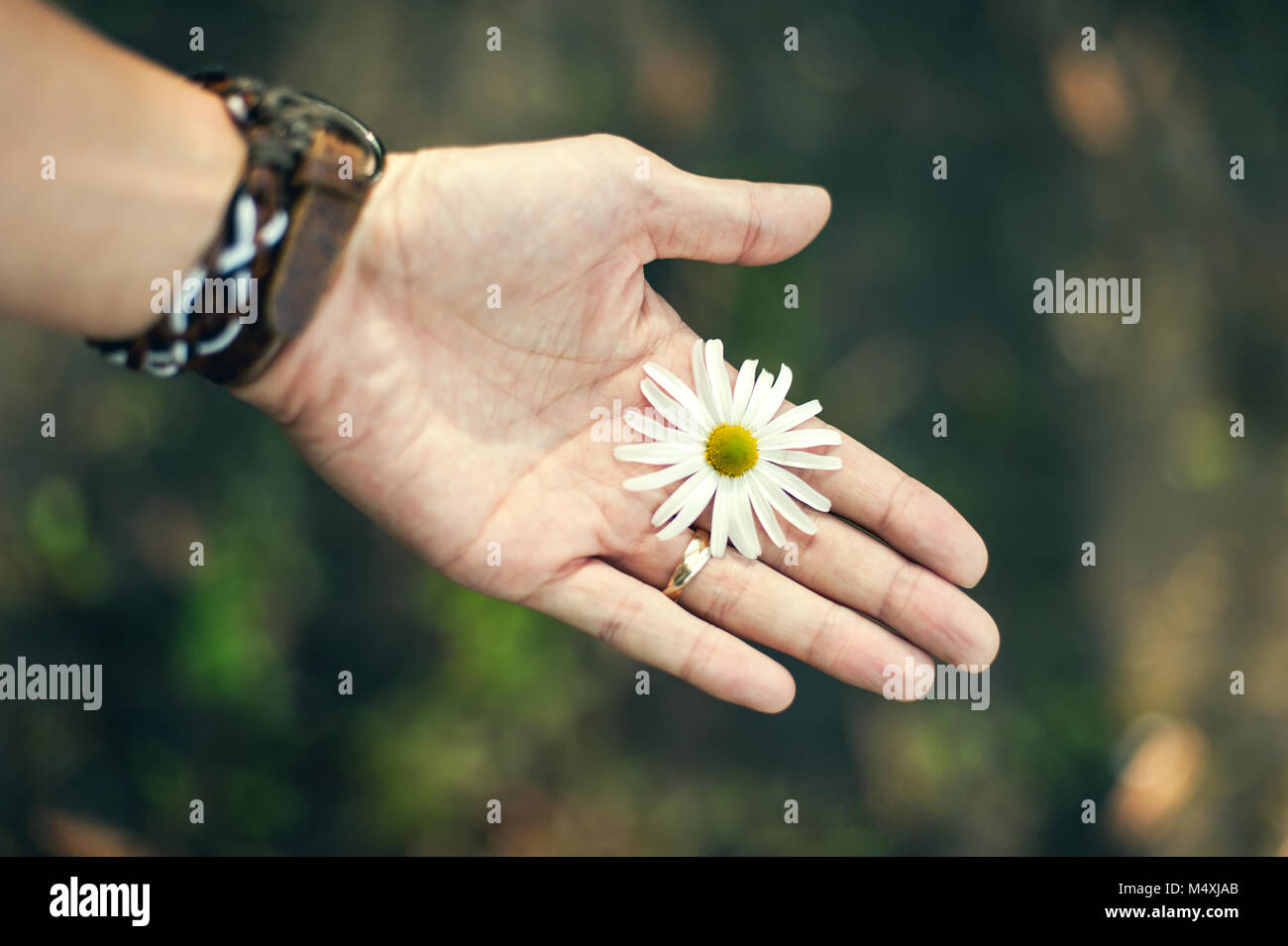 flowers in hand Stock Photo - Alamy