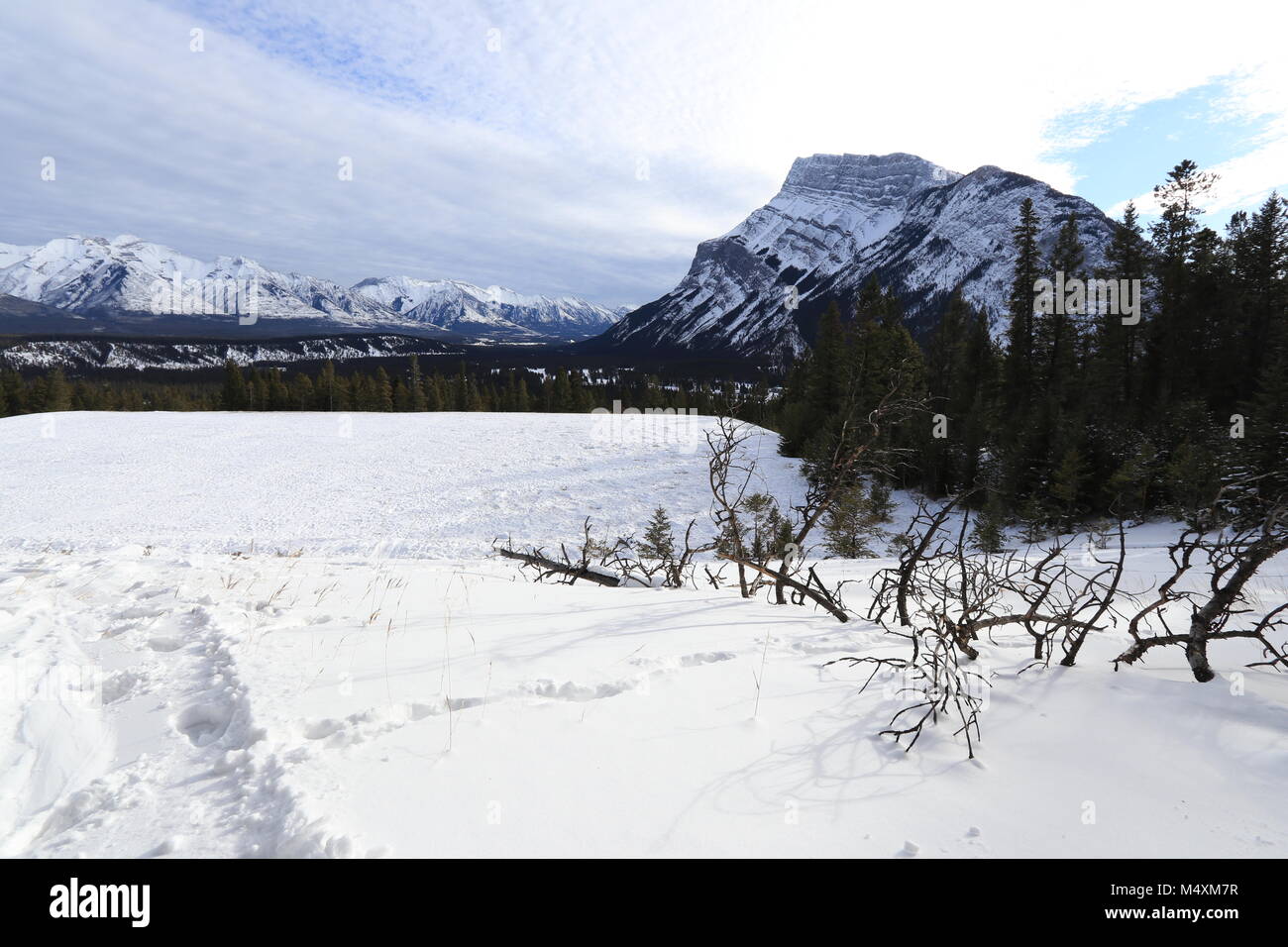 Winter landscape in Canada, Banff National Park Stock Photo - Alamy