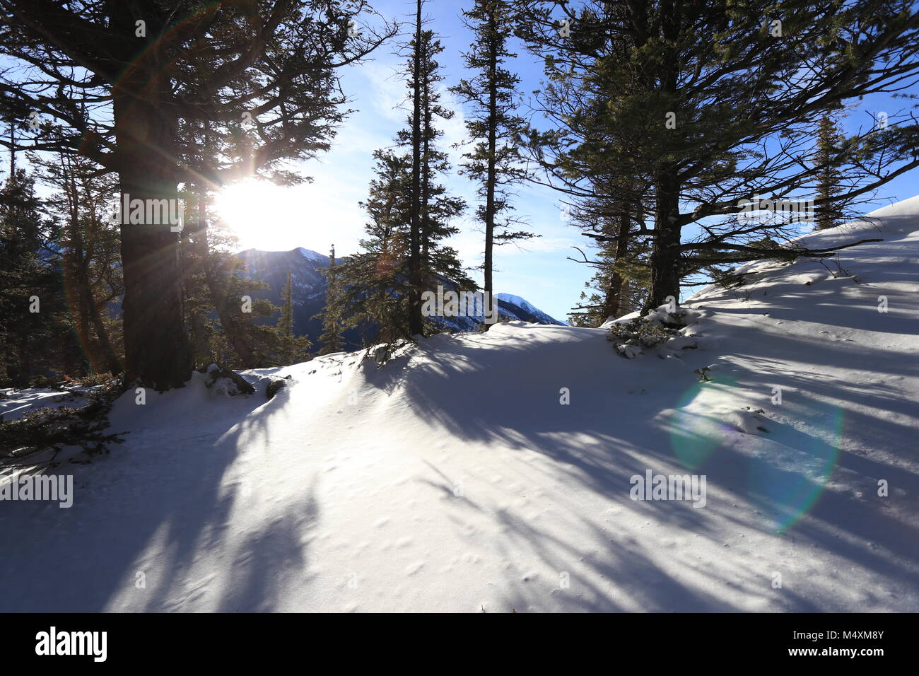 Snowy winter landscape in Banff National Park, Canada Stock Photo - Alamy