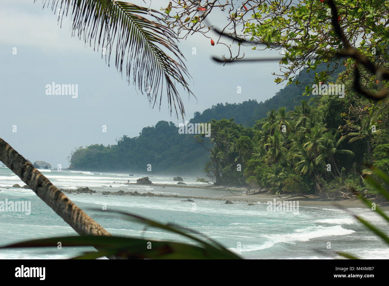 where the rainforest meets the ocean Stock Photo - Alamy