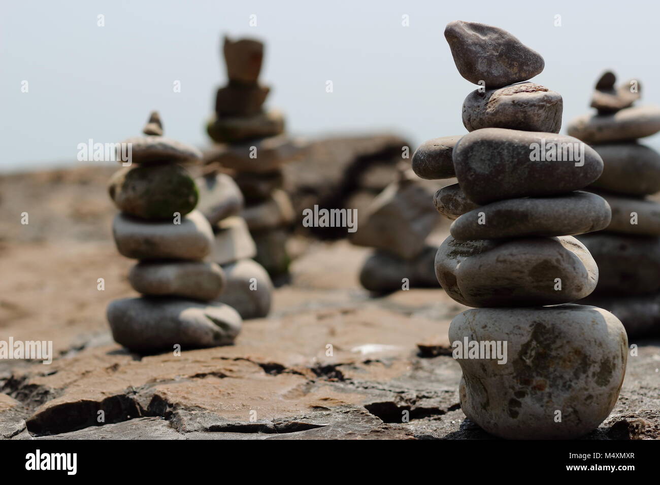 Stones on the beach Stock Photo - Alamy