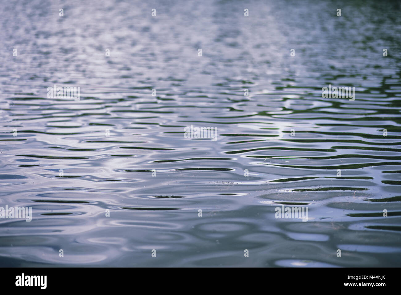 Landscape lake. Texture of water. The lake is at dawn. The mouth Stock ...